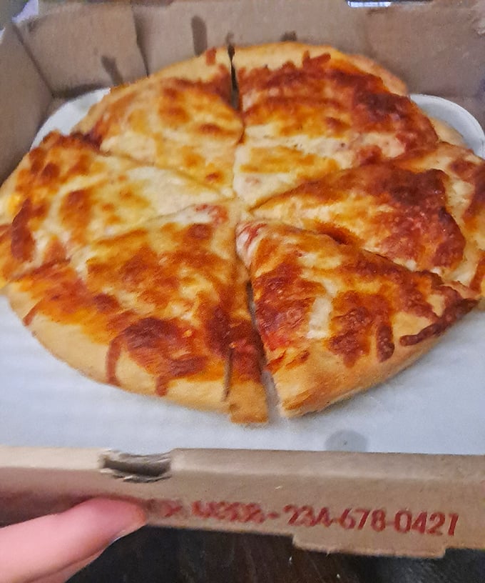 Sometimes perfection comes in its simplest form - cheese, sauce, and crust in perfect harmony on your plate.