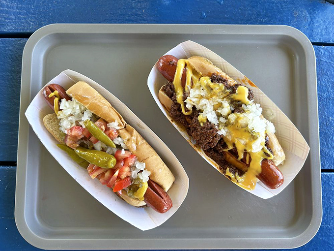 A Chicago dog and chili dog sitting pretty, like old friends sharing secrets on a plate.