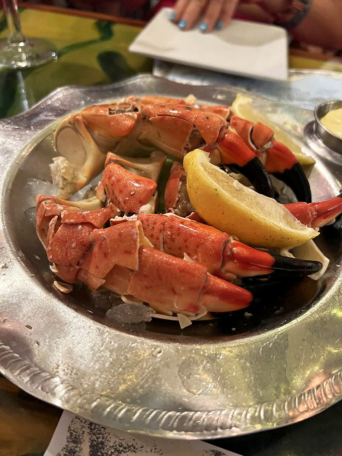 Stone crab claws served with classic simplicity—nature's perfect design meets Florida's perfect delicacy, just add lemon and dipping sauce.
