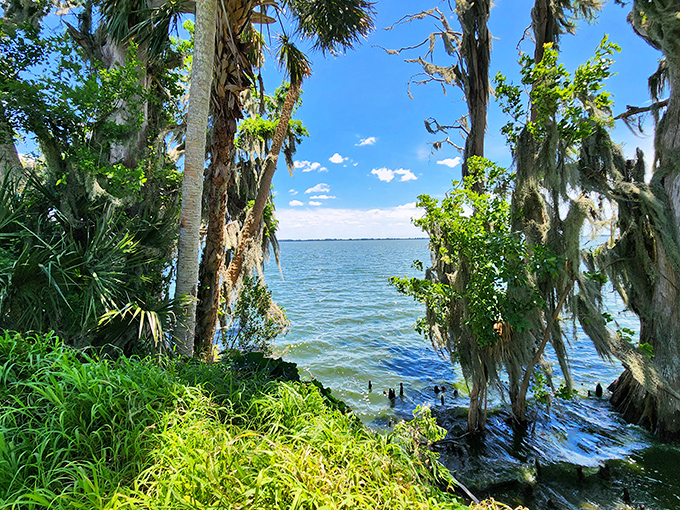 Circle B Bar Reserve: where Florida's wildlife puts on better shows than cable television.