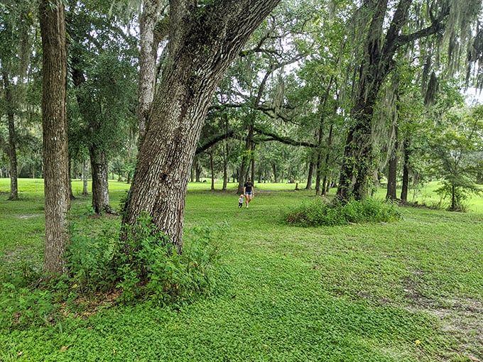 Ancient oaks create a natural cathedral in this peaceful park, where dappled sunlight plays hide-and-seek with visitors.