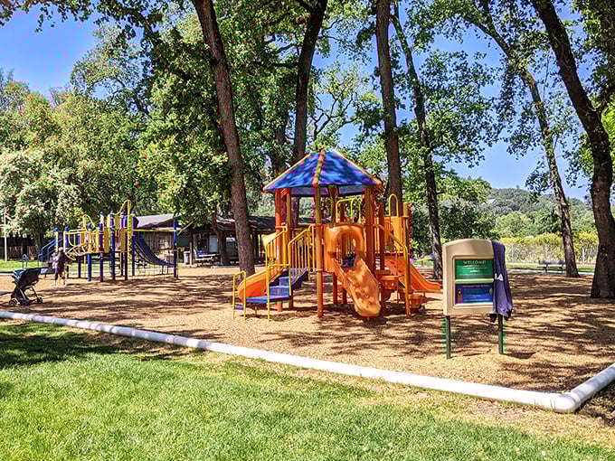 A playground where kids can actually play without parents making reservations two weeks in advance. Sunshine included at no extra charge.