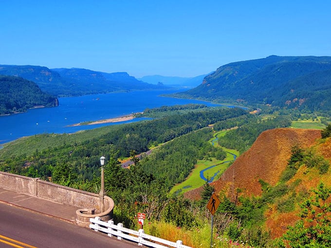 From this vantage point, the Columbia River Gorge unfolds like a living map. Even GPS can't capture the majesty of this blue ribbon cutting through green velvet.