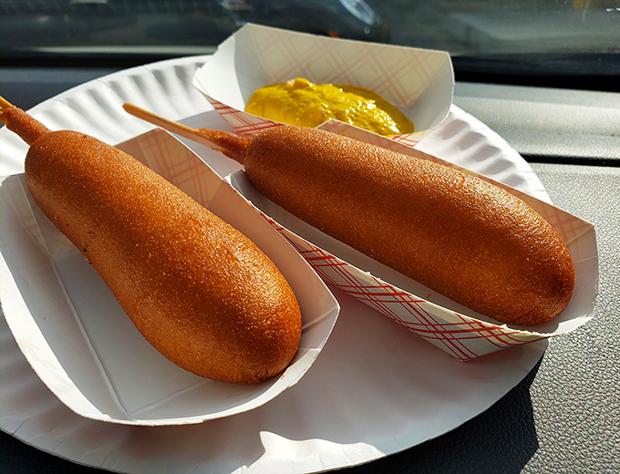 Corn dogs basking in the Florida sunshine like they're on vacation too. Golden, crispy perfection that makes you feel like a kid again.