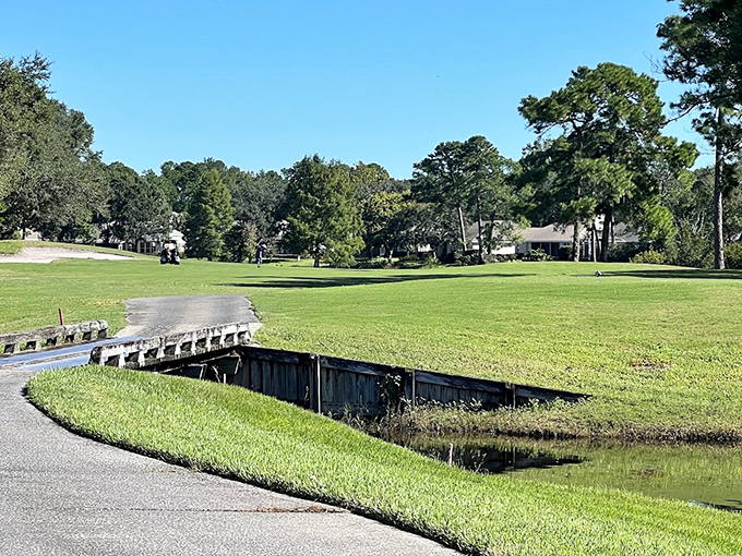 Golf carts and green fairways—Mount Dora's country club offers retirees the chance to perfect their swing while enjoying Florida's perpetual summer.