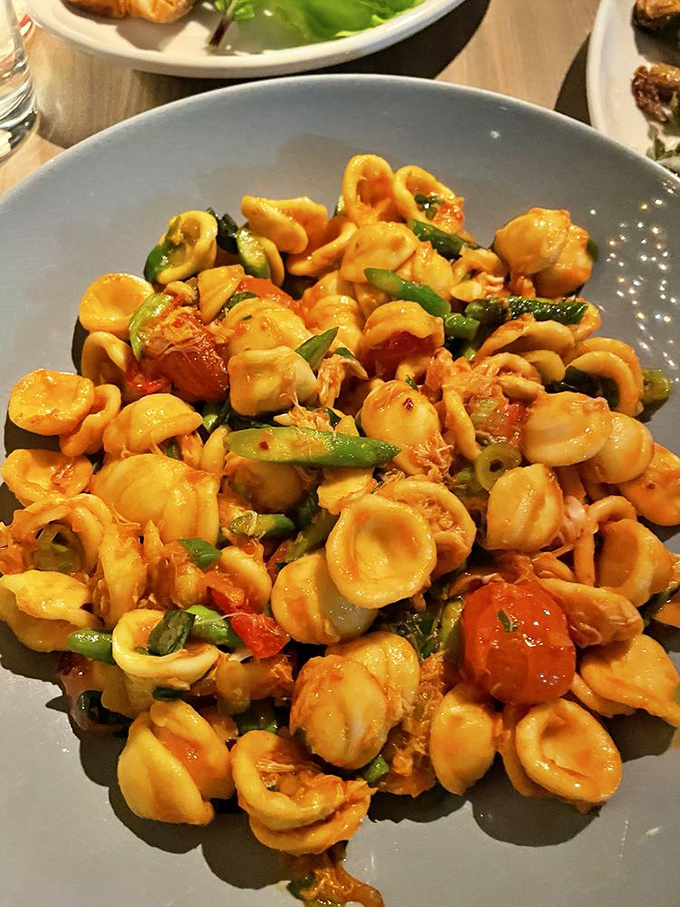 Shell-shaped pasta cradles tender shrimp and vibrant vegetables in a sauce that somehow manages to be both light and deeply satisfying.