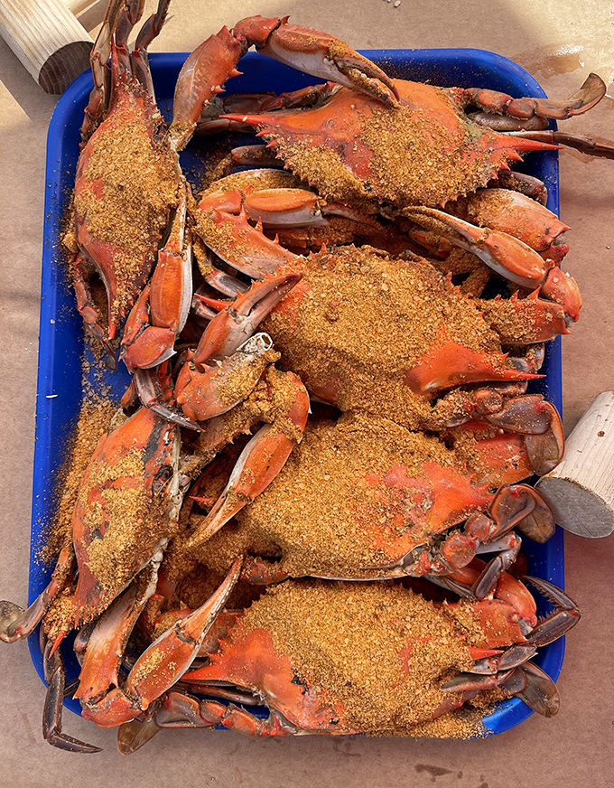 Maryland's state treasure on full display. These Old Bay-dusted beauties are why wooden mallets were invented.