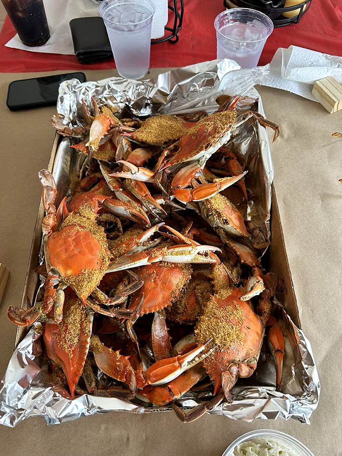 Seafood feasting doesn't get more authentic than this&mdash;steamed crabs dusted with spice, ready for the picking ritual that unites all Marylanders.