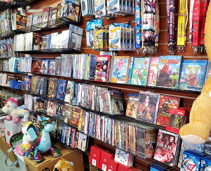 The physical Netflix of yesteryear. From Disney classics to obscure documentaries, these DVDs represent entertainment before streaming conquered our living rooms.