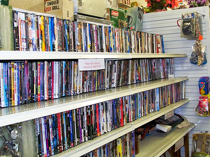 DVD collections reveal the entertainment tastes of previous owners, from blockbusters to forgotten indie gems.