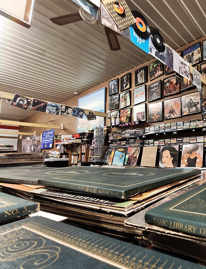 Vinyl paradise for music lovers! Album covers create a colorful timeline of musical history, each record waiting to spin stories from decades past.