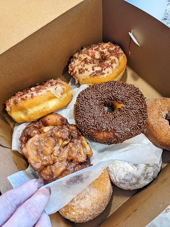 Donut nirvana in a humble box. That apple fritter looks like it could solve all of life's problems, at least until the sugar rush wears off.