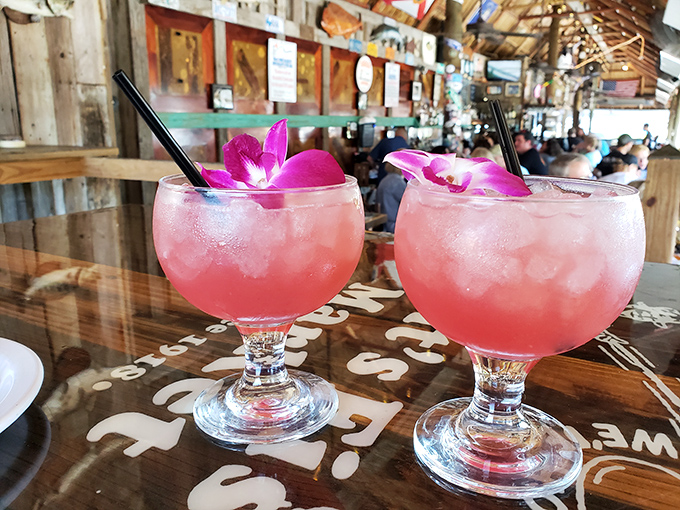 Tropical drinks with orchid garnishes that say "vacation mode activated" louder than any out-of-office email ever could.