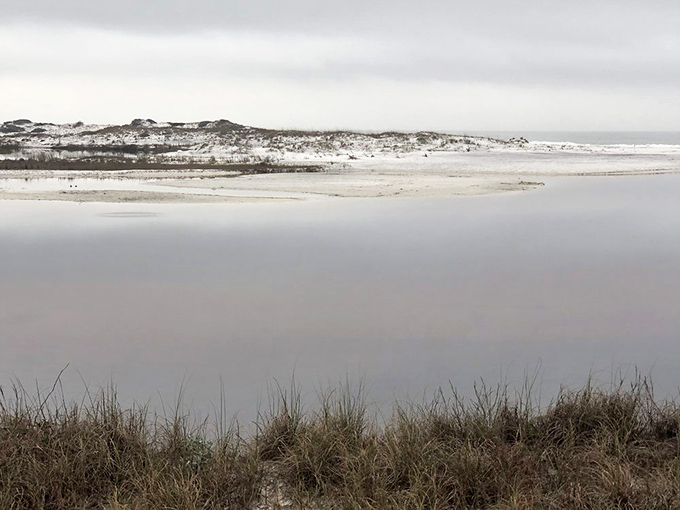Nature's perfect infinity pool. The coastal dune lake creates a serene boundary between civilization and the wild Gulf beyond.