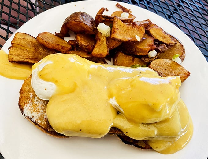 Eggs Benedict: where breakfast gets dressed for the opera. That hollandaise cascades over English muffins like a yellow velvet curtain revealing the perfect poached egg beneath.