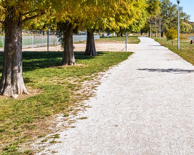 Those trees standing sentinel along the walking path seem to whisper, "Slow down, friend. The emails can wait. This view can't."