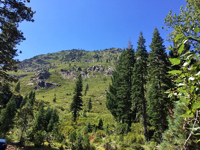 Eureka Peak stands tall like that overachieving cousin at family reunions, but actually worth admiring.