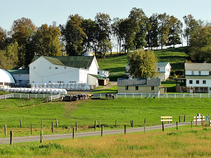 Picture-perfect Amish farmsteads dot the rolling hills like something from a storybook. No filter needed on this countryside canvas.