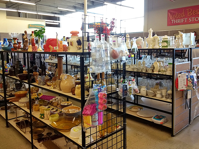 Ceramic treasures await new mantels in this carefully curated collection of decorative delights and conversation starters.