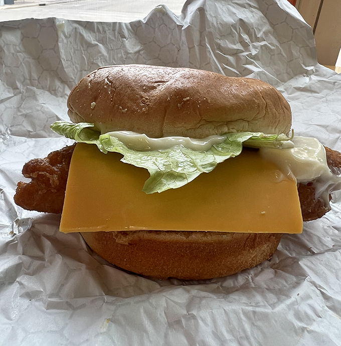 Wisconsin might be known for cheese, but this fish sandwich proves the state knows its way around seafood too. Simple, honest, and deliciously unfussy.