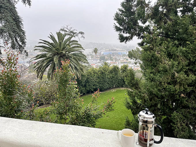 Morning coffee tastes better with a view&mdash;especially when fog transforms ordinary Los Angeles suburbs into a mysterious landscape worthy of a novel.