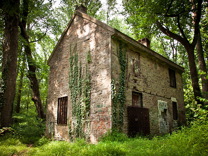 Ivy-covered stone walls whisper secrets that would make your neighborhood gossip group absolutely jealous.