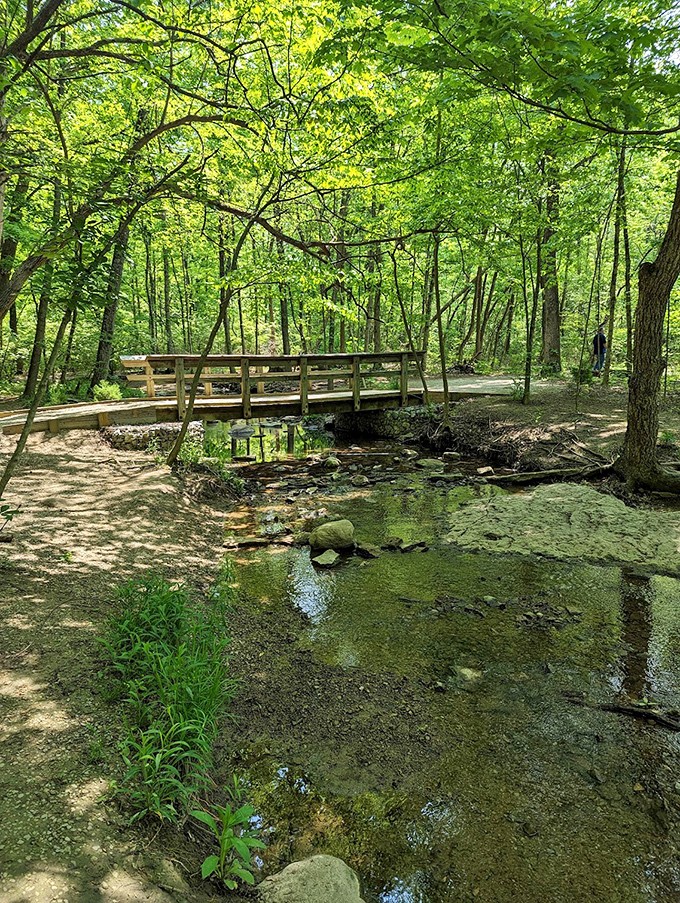 This charming footbridge isn't just crossing a stream&mdash;it's crossing the boundary between your everyday world and a pocket of wilderness magic.