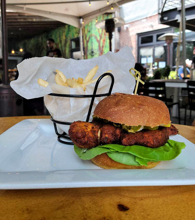 That fried chicken sandwich looks like it could solve most of life's problems.