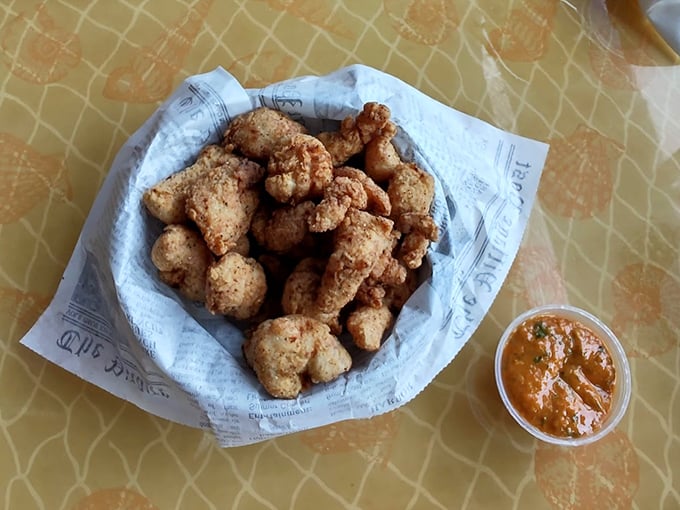 Florida's famous gator bites prove that sometimes the most adventurous choices yield the greatest rewards.
