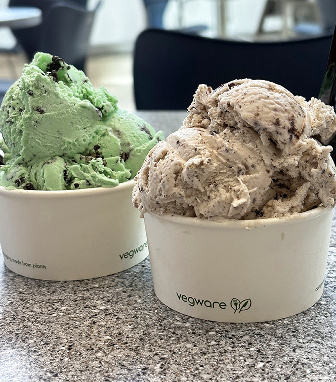 Two scoops of artisanal gelato in eco-friendly cups—mint chocolate chip and cookies & cream locked in an eternal ‘who’s tastier’ debate.