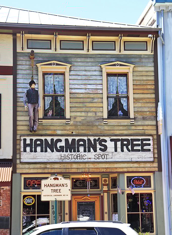 The infamous "Hangman's Tree" establishment keeps Placerville's rowdy frontier nickname alive, though today's visitors come for drinks rather than frontier justice.