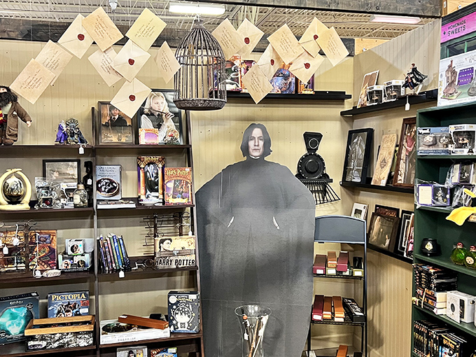 Hogwarts has relocated to Lakeland! This magical collection would make even Severus Snape crack a smile&mdash;almost.