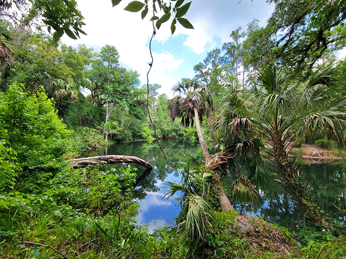 Mirror-like waters create perfect reflections of the palms and sky&mdash;nature's Instagram filter before filters were even a thing.