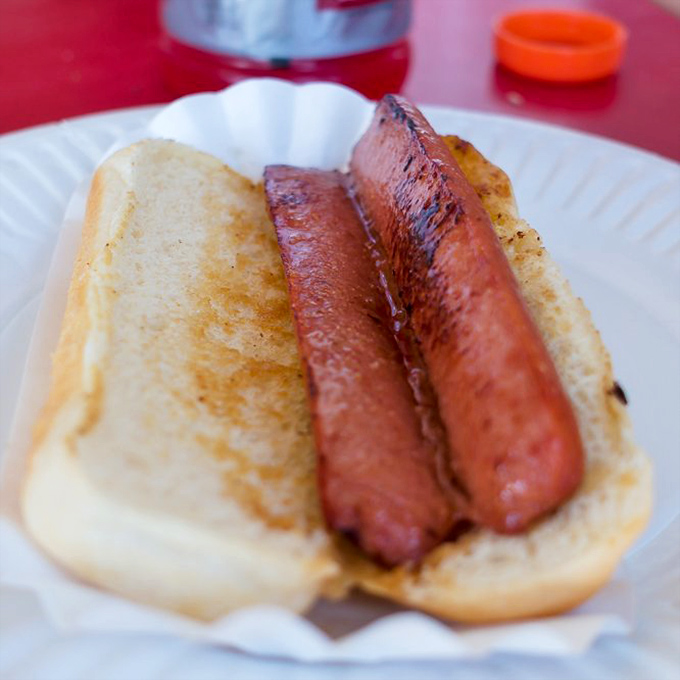 Simple pleasures: two snappy grilled hot dogs nestled in a toasted bun. No frills, no gimmicks, just honest-to-goodness satisfaction.