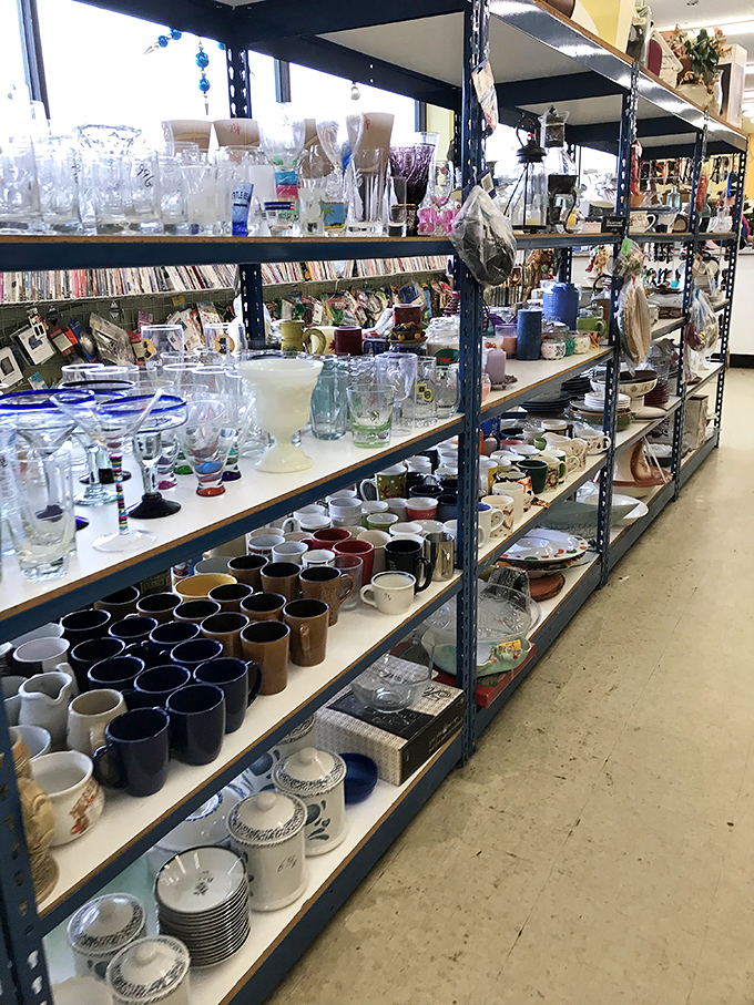Mug collectors, brace yourselves! This glassware section could outfit a small restaurant or finally complete your mismatched-on-purpose kitchen aesthetic.