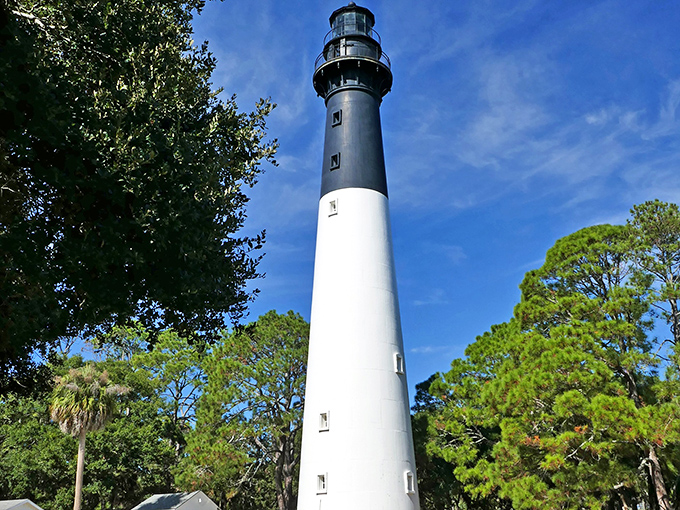 The Hunting Island Lighthouse stands tall against Carolina blue skies. Those 167 steps are worth every quad burn for views that'll fill your camera roll.