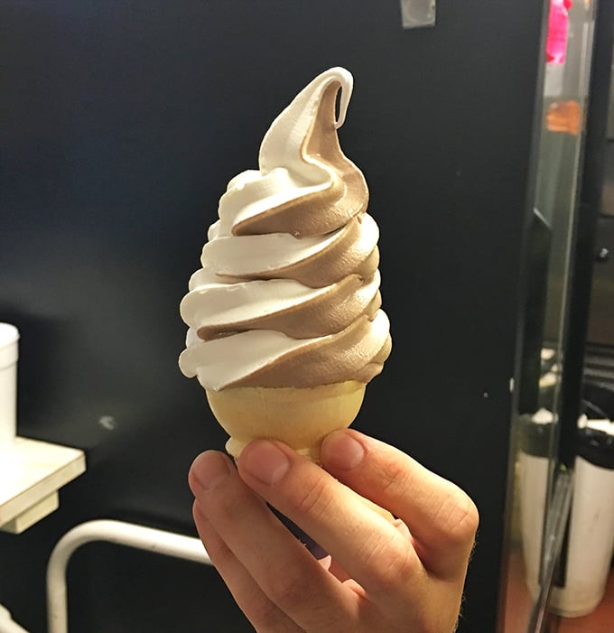 Soft-serve simplicity at its finest—a perfect vanilla swirl that proves sometimes the classics need no improvement, just proper execution.