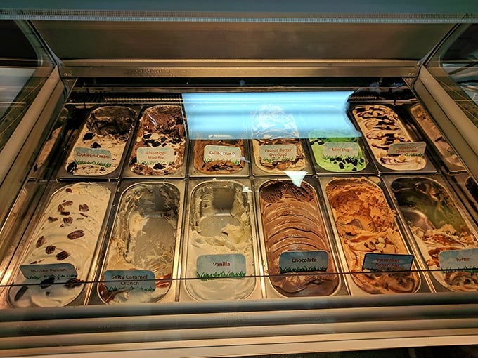 Ice cream flavors lined up like contestants in a delicious beauty pageant. The winner? Whoever orders a double scoop.