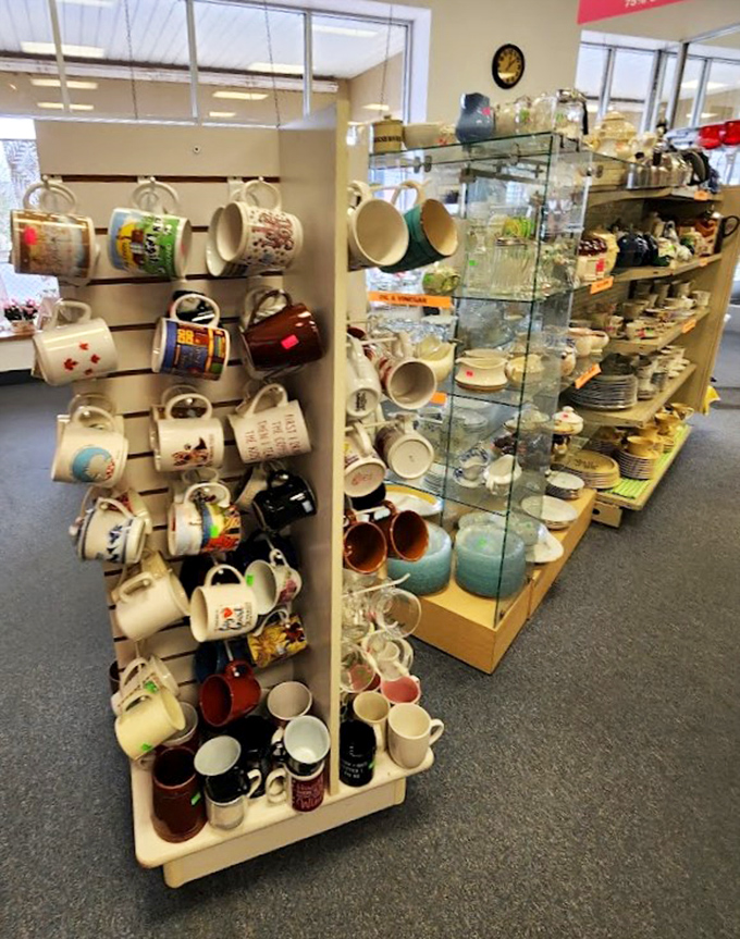 Mug collectors, beware! You'll need to explain to your family why you suddenly need seventeen more coffee cups with quirky sayings and vacation destinations.