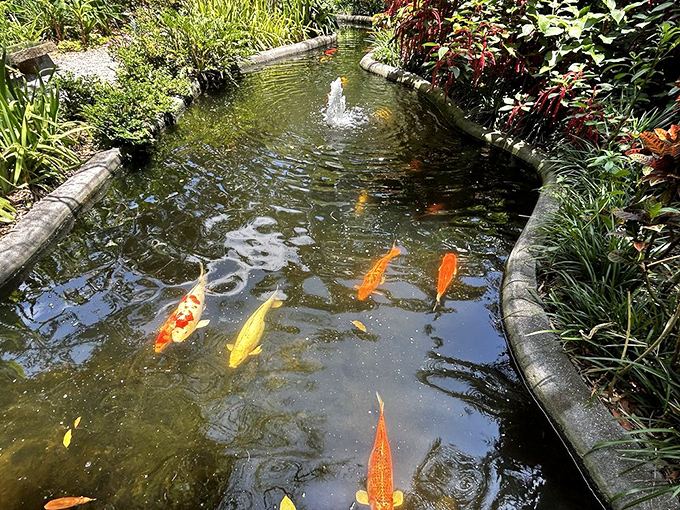 Koi fish living their best life in crystal-clear waters that sparkle like liquid diamonds.