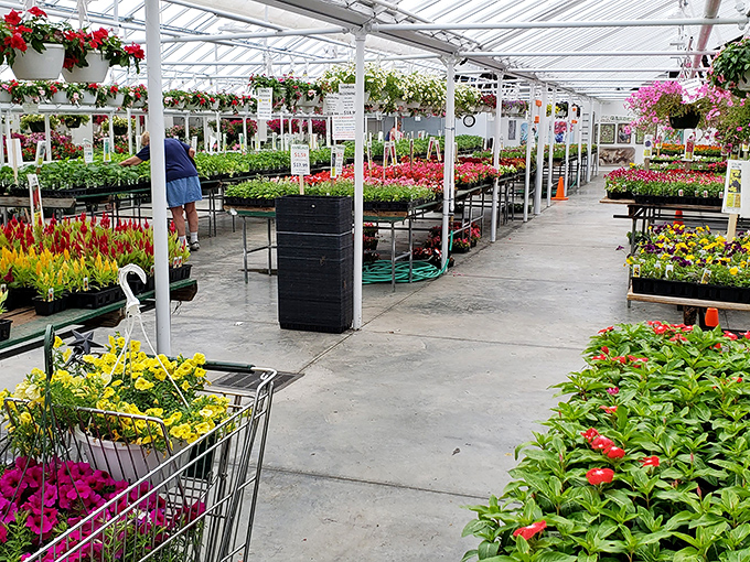 Garden enthusiasts find their happy place among Kraynak's vibrant blooms&mdash;proof that Hermitage offers fertile ground for both plants and retirement dreams.