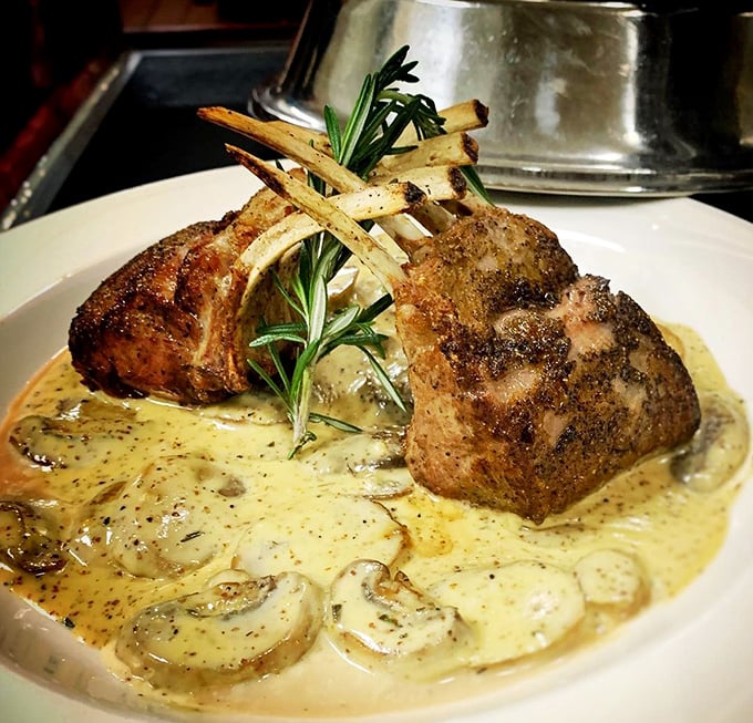 These lamb chops showcase culinary artistry that transforms simple ingredients into something approaching edible poetry on your plate.