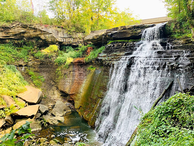 Mother Nature's layered cake recipe: 360 million years of sedimentary rock, one persistent creek, and endless patience. The result? Absolutely delicious views.