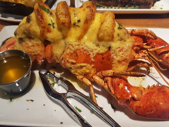 This magnificent crustacean arrives dressed to impress, proving that sometimes luxury comes with butter and bibs.