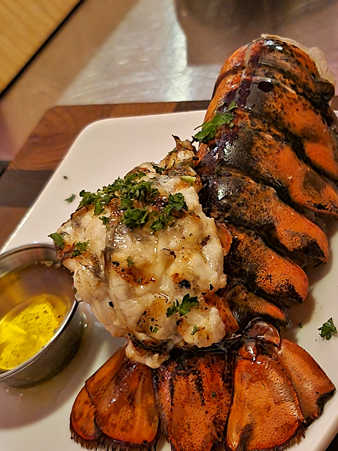 Maine lobster tail that looks like it swam all the way to Florida just to be the star of someone's dinner—butter-dipped decadence at its finest.