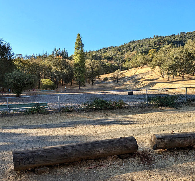 Low Gap Park offers the kind of California landscape that makes you want to write poetry or, at minimum, update your social media profile picture.