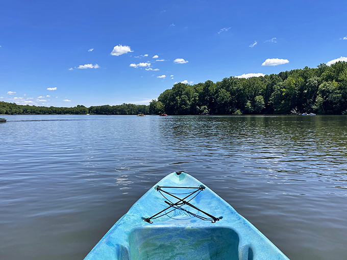 Gliding across Lums Pond's glassy surface in a kayak offers the perfect blend of serenity and adventure. Social media can wait—this is real-life streaming.