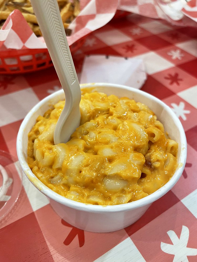 Mac & cheese that doesn't know it came from a humble pasta. This velvety, cheesy masterpiece has clearly been promoted to main character status.