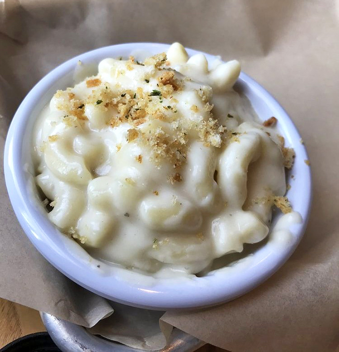 Mac and cheese so creamy it should require a lifeguard on duty. That buttery breadcrumb topping is the sun-kissed tan on a beach vacation.