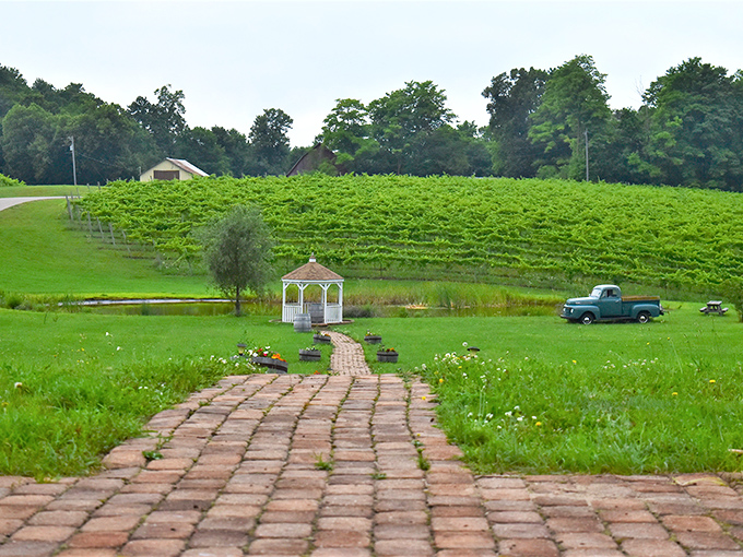 Rows of grapevines stretching toward the horizon remind us that Michigan wine country isn't just a phrase&mdash;it's a delicious reality worth exploring.